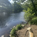 Romaldkirk Circular, County Durham, England - 91 Reviews, Map | AllTrails