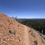 Hat Shop via Under the Rim Trail, Utah - 528 Reviews, Map | AllTrails