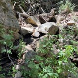 Tenaja Canyon via Tenaja Trail, California - 181 Reviews, Map | AllTrails