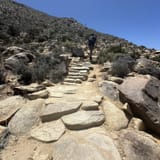 Ryan Mountain, California - 7,708 Reviews, Map | AllTrails