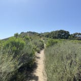 Ontario Ridge to Shell Beach Bluff Trail Loop, California - 1,630 ...