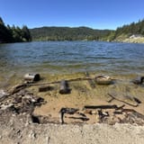 Lake Gregory Trail, California - 1,638 Reviews, Map | AllTrails