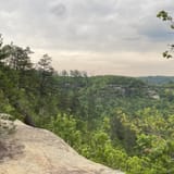 Auxier Ridge Trail to Courthouse Rock, Kentucky - 2,260 Reviews, Map ...