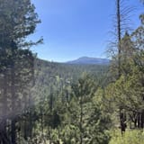 Grindstone Canyon Loop, New Mexico - 1,735 Reviews, Map | AllTrails