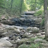 Henderson Park Loop, Georgia - 1,805 Reviews, Map | AllTrails