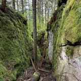 Talus Rocks Loop, Washington - 1,669 Reviews, Map | AllTrails