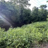 Cub Run Stream Valley Trail, Virginia - 397 Reviews, Map | AllTrails