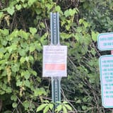 Cub Run Stream Valley Trail, Virginia - 397 Reviews, Map | AllTrails