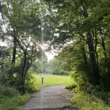 Cub Run Stream Valley Trail, Virginia - 397 Reviews, Map | AllTrails