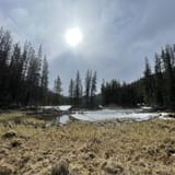 Moose Lake Loop, Alberta, Canada - 475 Reviews, Map | AllTrails