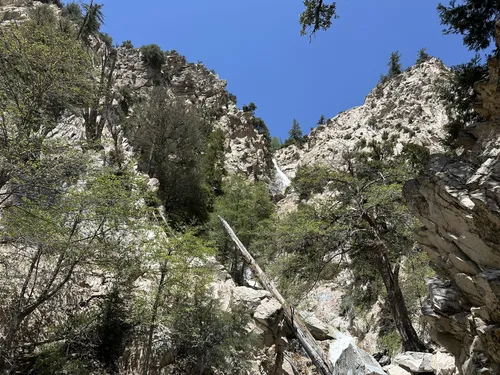 Best Waterfall Trails in Forest Falls | AllTrails