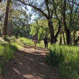 Lake Tabeaud Loop, California - 1,019 Reviews, Map | AllTrails
