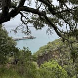Pecho Coast Trail, California - 62 Reviews, Map | AllTrails