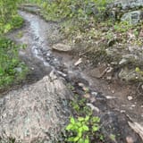 East Ridge Trail, Minnesota - 354 Reviews, Map | AllTrails