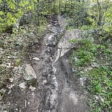 East Ridge Trail, Minnesota - 354 Reviews, Map | AllTrails