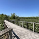 Ohio and Erie Canal Towpath: Botzum to Everett, Ohio - 772 Reviews, Map ...