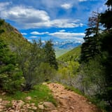 Emigration Canyon Miners Trail, Utah - 844 Reviews, Map | AllTrails