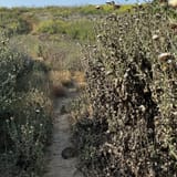 Bane Canyon Short Loop Trail, California - 844 Reviews, Map | AllTrails