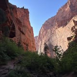 Middle Fork Taylor Creek Trail, Utah - 3,385 Reviews, Map | AllTrails