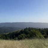 Hickory Oak Ridge Trail Loop, California - 212 Reviews, Map | AllTrails