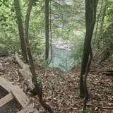 Greeter Falls Loop, Tennessee - 1,360 Reviews, Map | AllTrails