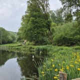 Surrey Three Peaks - Boxhill, Holmbury Hill, Leith Hill, Surrey ...