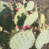 Monument Canyon and Broadway Cave via Jacob's Trail, Arizona - 3,386 ...