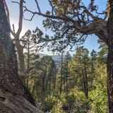 Grindstone Canyon Loop, New Mexico - 1,735 Reviews, Map | AllTrails