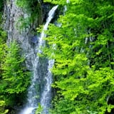 Lewis Spring Falls Trail, Virginia - 1,527 Reviews, Map | AllTrails