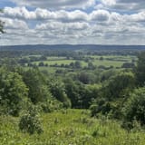 Gomshall Mill and Netley Park Circular, Surrey, England - 219 Reviews ...