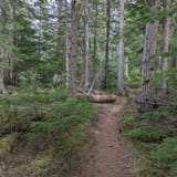 Helmcken Falls Rim Trail, British Columbia, Canada - 475 Reviews, Map ...