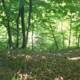 Farmdale Recreation Area Trail, Illinois - 969 Reviews, Map | AllTrails