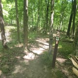 Farmdale Recreation Area Trail, Illinois - 969 Reviews, Map | AllTrails