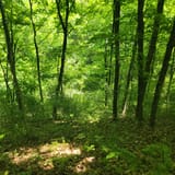 Farmdale Recreation Area Trail, Illinois - 969 Reviews, Map | AllTrails