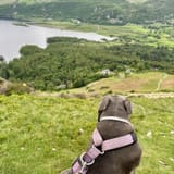 Hawes End, Cat Bells, and Derwent Circular, Cumbria, England - 2,229 ...