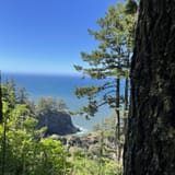 Natural Bridges Viewpoint Trail, Oregon - 717 Reviews, Map | AllTrails
