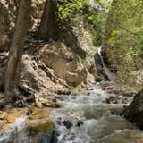 Hidden Falls, Utah - 799 Reviews, Map | AllTrails