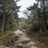 Liberty Trail and Brook Trail Loop to Mount Chocorua, New Hampshire ...