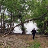 Hansen Dam Bike Path Trail, California - 828 Reviews, Map | AllTrails