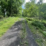 Liberty Loop Trail, New York - 416 Reviews, Map | AllTrails