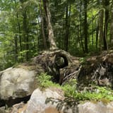 Prospect Rock Trail, Vermont - 946 Reviews, Map | AllTrails