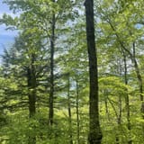 Prospect Rock Trail, Vermont - 946 Reviews, Map | AllTrails