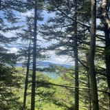 Prospect Rock Trail, Vermont - 946 Reviews, Map | AllTrails