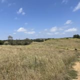 Sylvan Meadows , California - 184 Reviews, Map | AllTrails