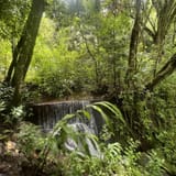 Makiki Valley Loop, Oahu, Hawaii - 5,803 Reviews, Map | AllTrails