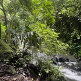 Makiki Valley Loop, Oahu, Hawaii - 5,803 Reviews, Map | AllTrails