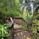 Makiki Valley Loop, Oahu, Hawaii - 5,803 Reviews, Map | AllTrails