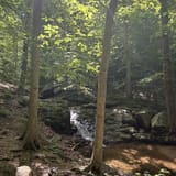 Cascade Falls Trail, Maryland - 1,825 Reviews, Map | AllTrails