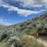 Polecat Short Loop, Idaho - 394 Reviews, Map | AllTrails