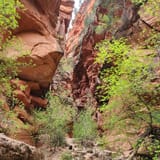 Spring Creek Canyon, Utah - 1,289 Reviews, Map | AllTrails